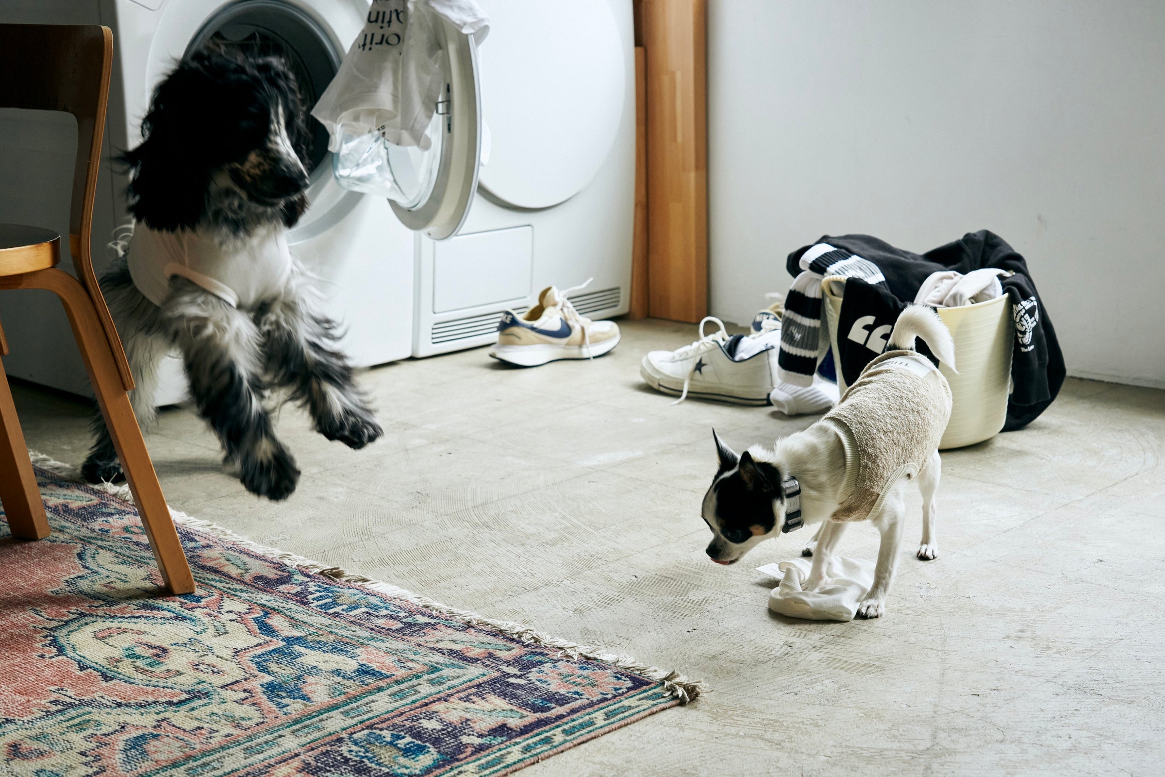 ポイントについて